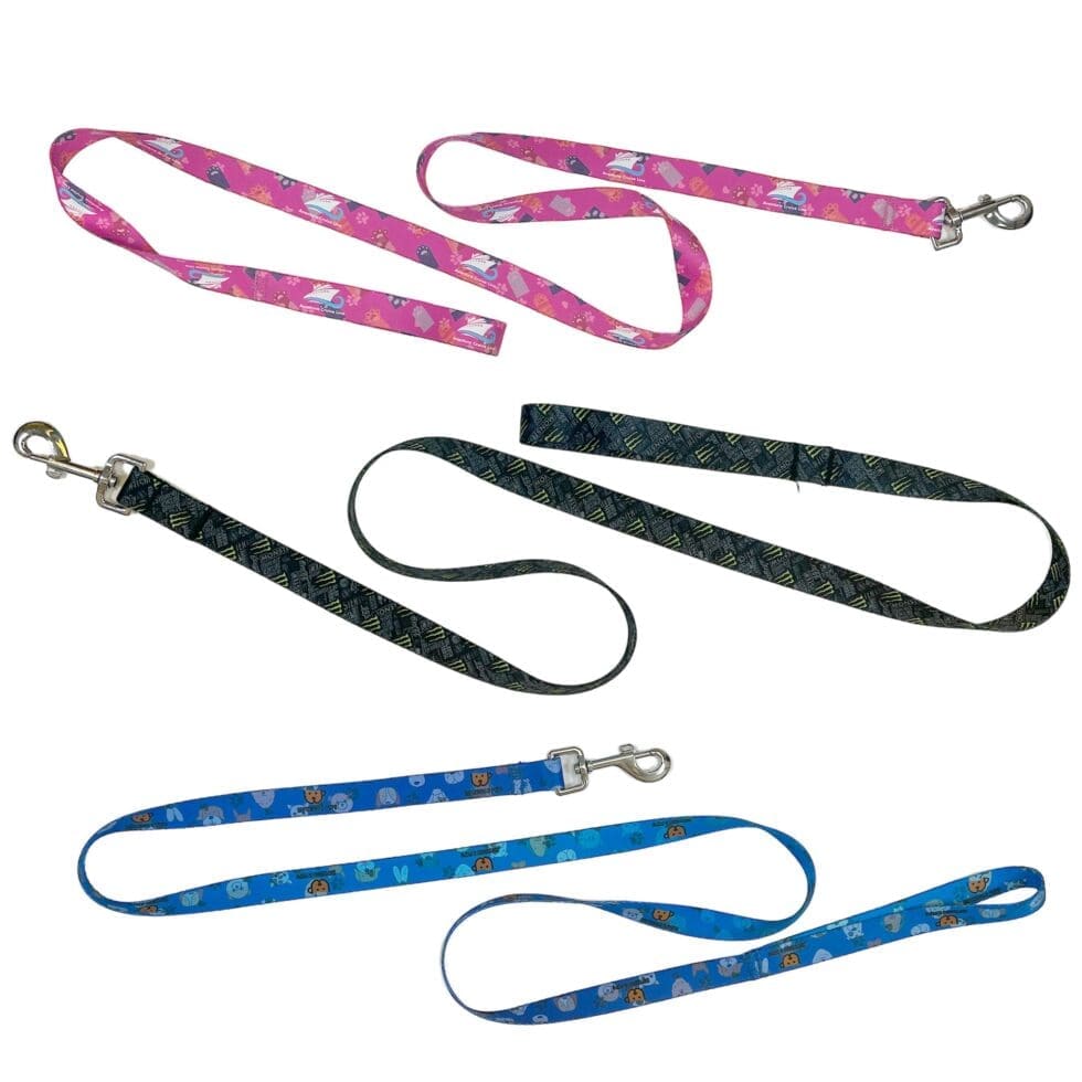 Paw Power Pet Leashes - Swag Wag Pet Promotions