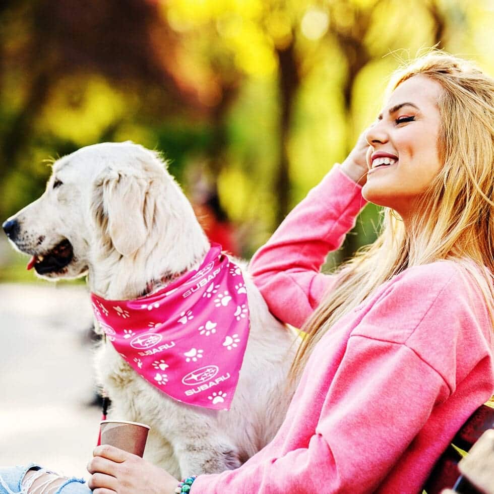 Solid Color Pet Triangles USA Made - Swag Wag Pet Promotions