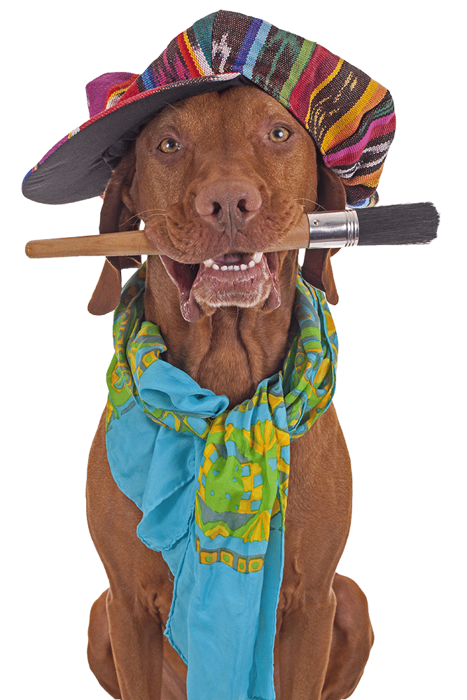 Swag Wag Art Requirements - Swag Wag Pet Promotions